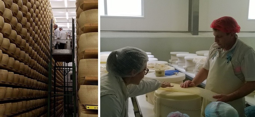 Tre formaggi trentini fra i migliori del mondo: ai World Cheese Awards ...
