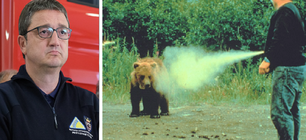 Spray anti-orso ecco le regole d'ingaggio per i forestali. Fugatti ...