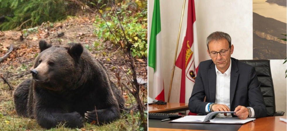 Per il Tar di Trento la Provincia non è obbligata a trasferire Jj4 ...