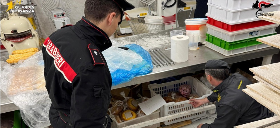 Topi tra gli scaffali e insetti negli alimenti: orrore in un’attività ...