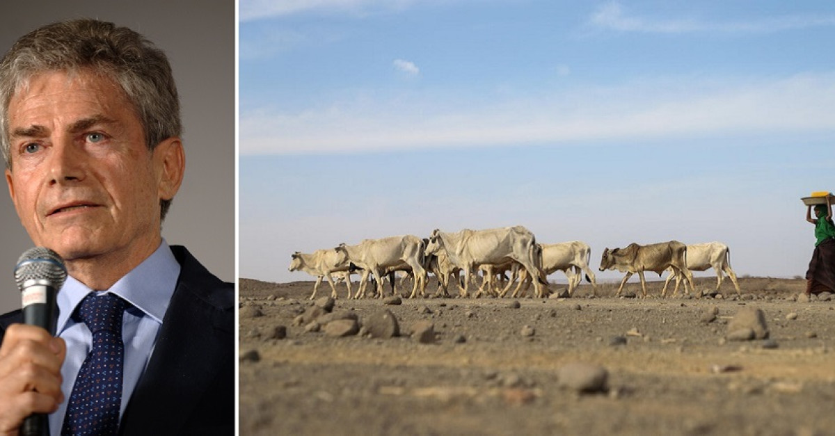 Nel Corno d'Africa è allarme fame, Raffaelli: “A rischio fino a 20 ...