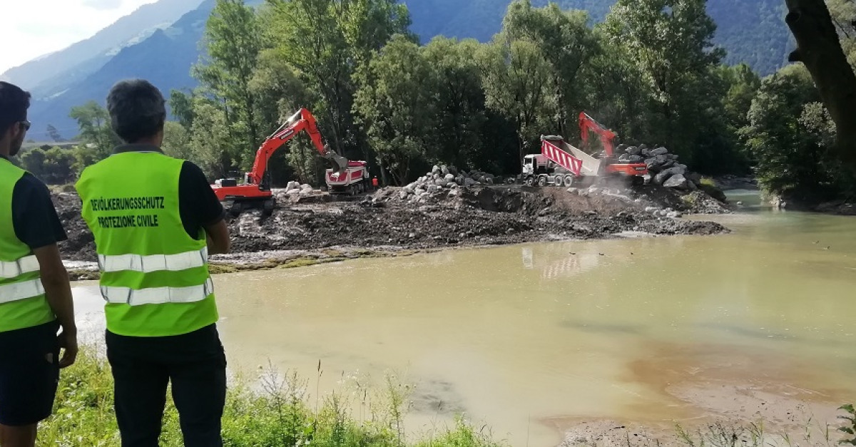 La pianta aliena che rischia di colonizzare pure il fiume Adige, ben 2 ...