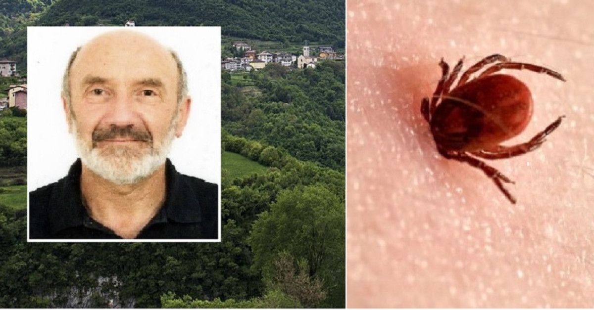 Morso da una zecca, è morto Mario Cazzanelli colpito da un'encefalite ...