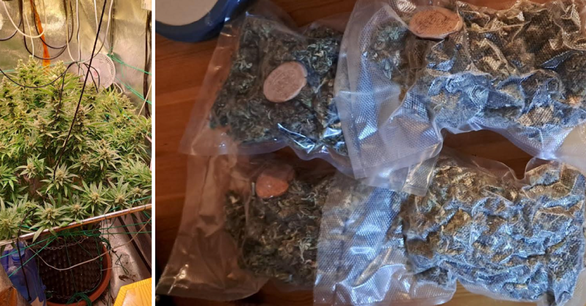 Gli trovano uno spinello e poi della marijuana nell'armadietto del ...