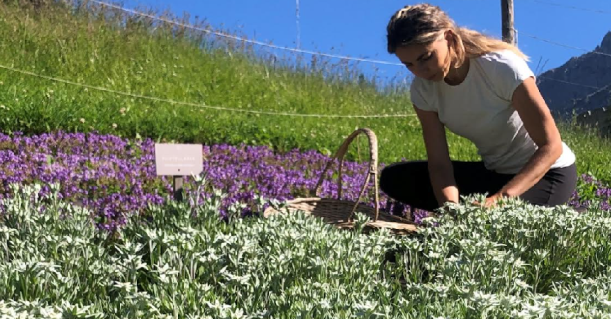 Un orto alpino a 1.800 metri di quota, storia di Alice Pedon che ha ...
