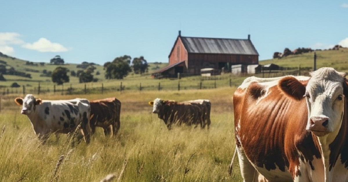 Attaccata da una vacca e spinta violentemente a terra, una donna di 57 ...