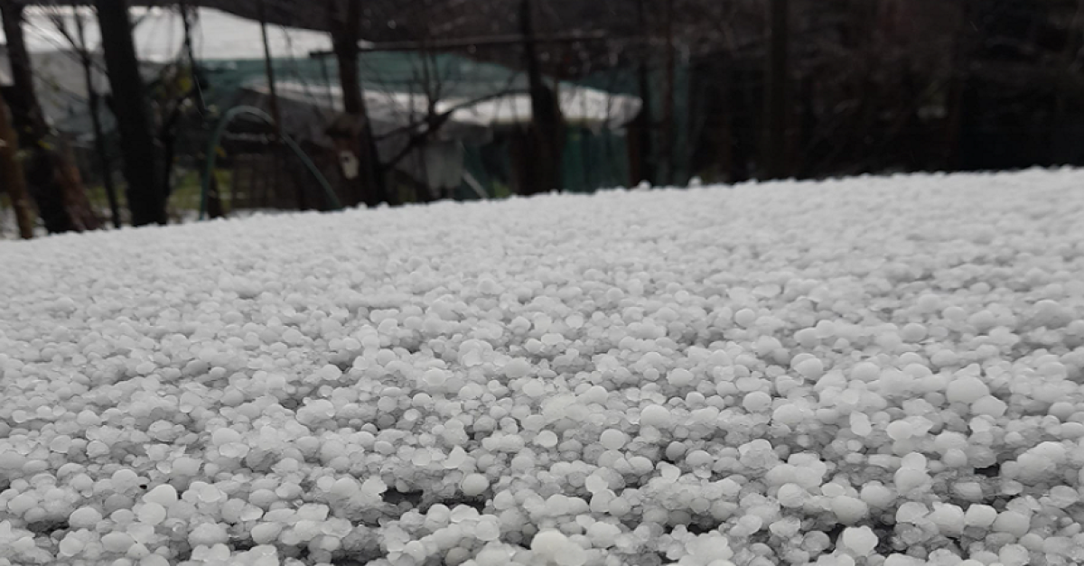 Nel Feltrino arriva il Graupel, la ''neve tonda'': ecco cos'è - il Dolomiti