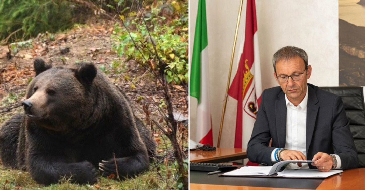 Per il Tar di Trento la Provincia non è obbligata a trasferire Jj4 ...