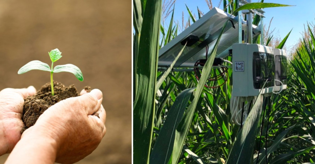 Ascoltare la "voce" delle piante per risparmiare acqua e costi di ...