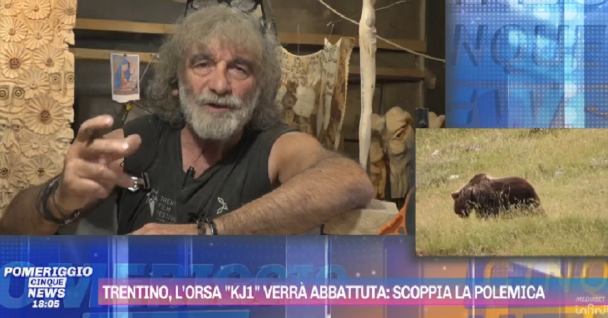 "Mi sono munito di uno spray in caso di incontro con l'orso", Mauro ...