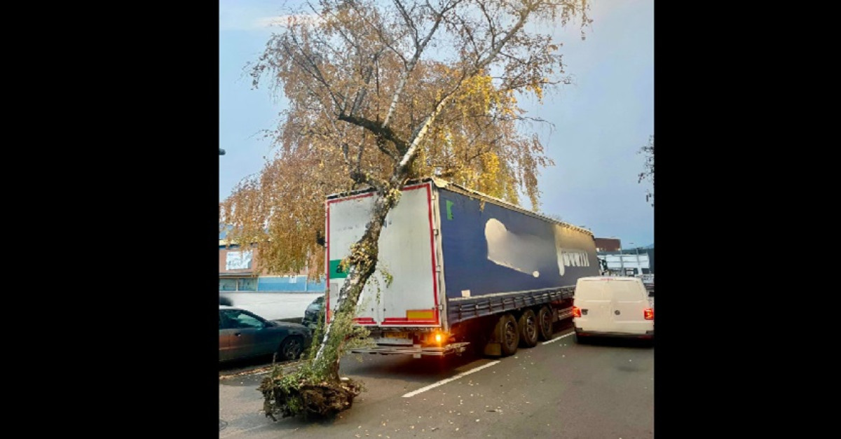 Sradica un albero con il camion ma non se ne accorge e lo trascina per strada, autista chiede ...