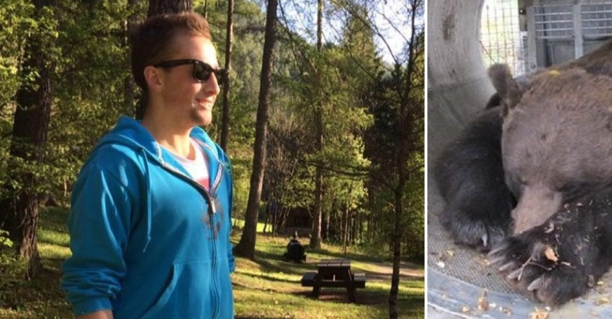 In 18 a processo per aver diffamato sui social Andrea Papi, la sorella e la fidanzata ...