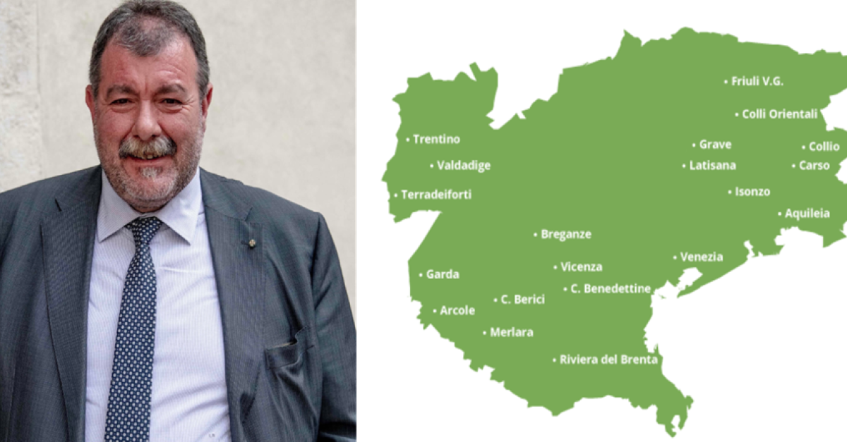 Luca Rigotti nominato presidente del Consorzio Doc Delle Venezie, il ...