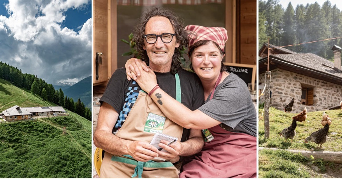 La "nuova vita" di Malga Polinar, Nicoletta Andreis e Michele Barbieri la rilanciano tra capre ...