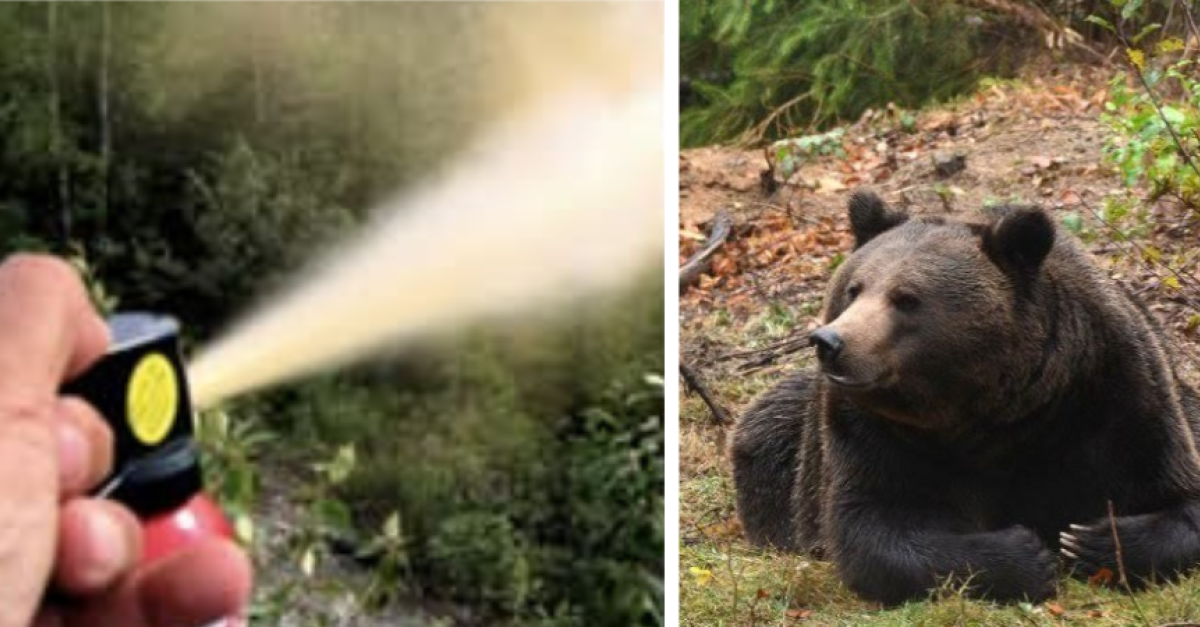 Ddl Montagna, dopo forze dell'ordine e protezione civile il governo ...