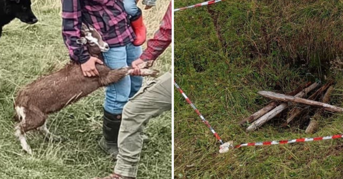 Capretta cade in una voragine di 10 metri e resta bloccata, in azione ...