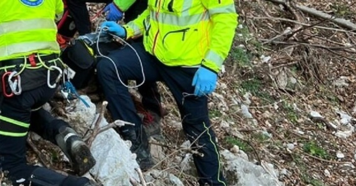 Va a funghi col padre, si perde, scivola e sbatte contro un albero ...
