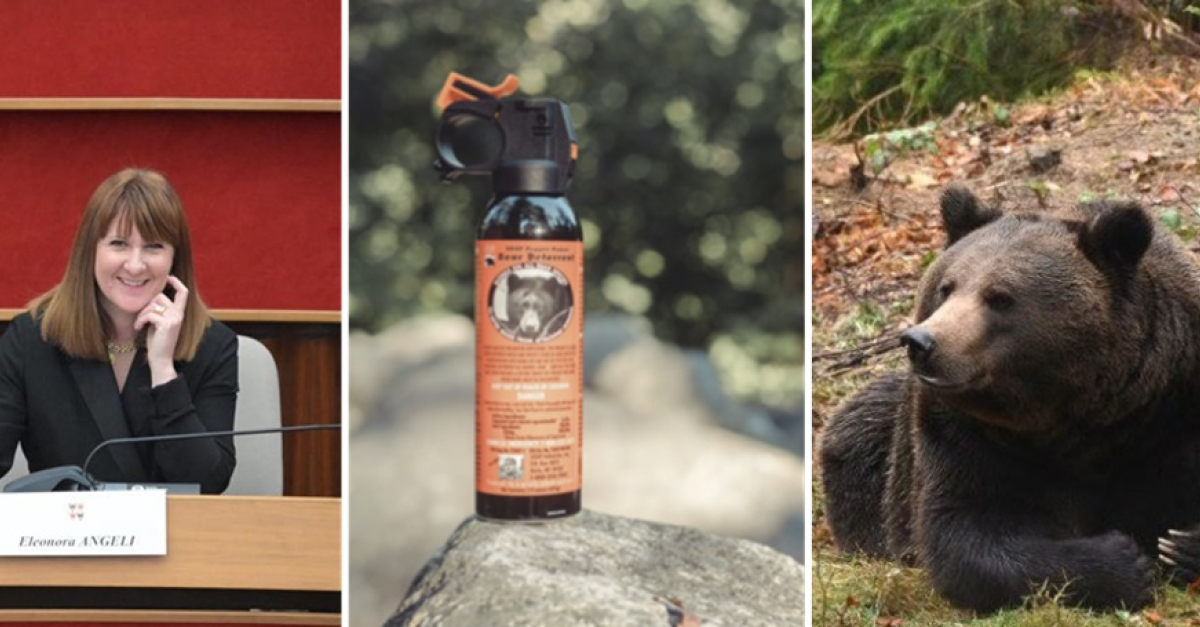 Dallo spray anti-orso al declassamento del lupo, Trentino e Alto Adige ...