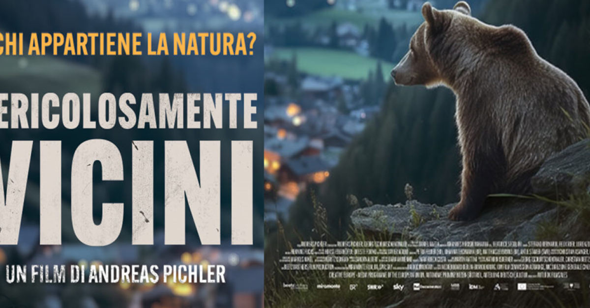 "Pericolosamente vicini", il documentario sugli orsi in Trentino vince il German Nature Film ...