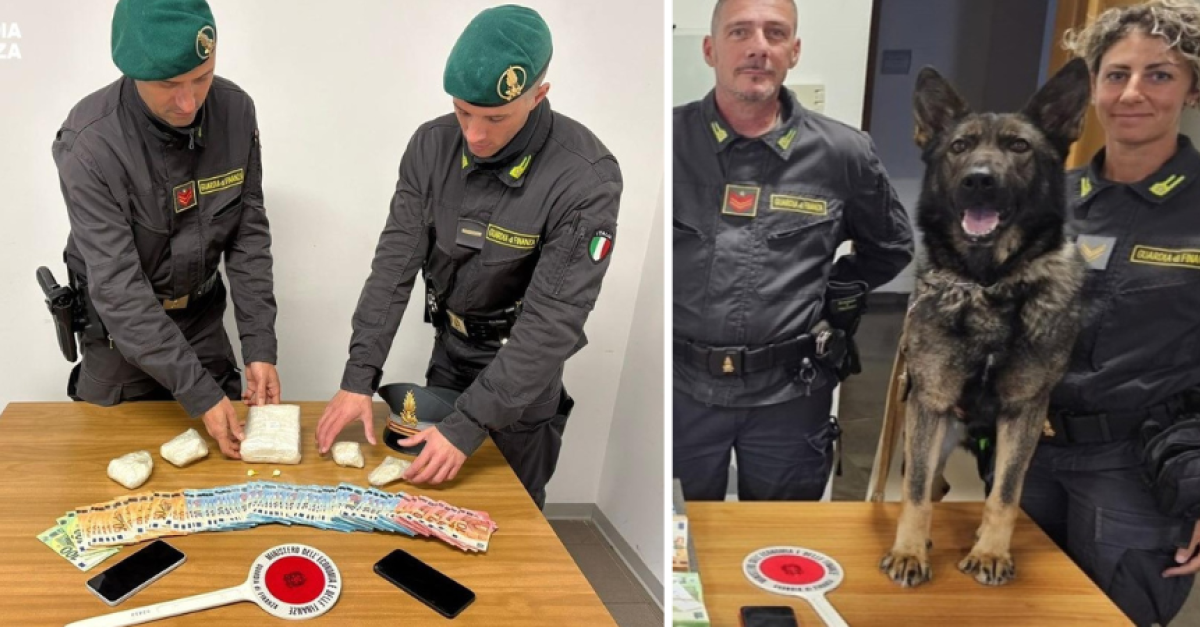 Il fiuto del cane Jumpa scova le banconote nascoste, operazione ...