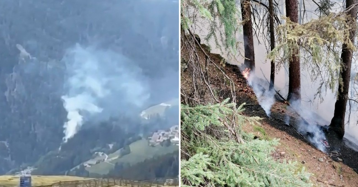 Grosso incendio boschivo, dopo ore di lavoro rogo sotto controllo (FOTO ...