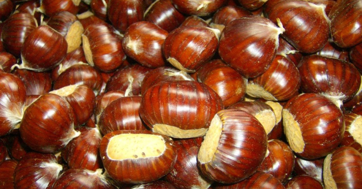 Marroni di Castione, un'eccellenza trentina famosa in tutta Europa. Da ...
