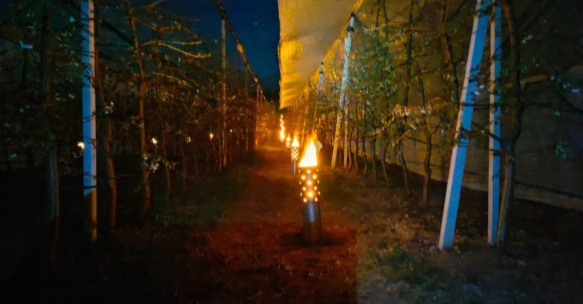 LE FOTO. Le fiaccole illuminano la notte, torna in Trentino lo ...