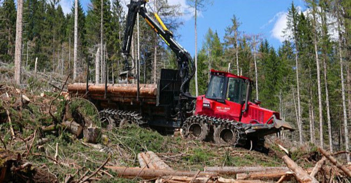 Grandi macchine forestali sulle Alpi: i rischi, le opportunità, la ...