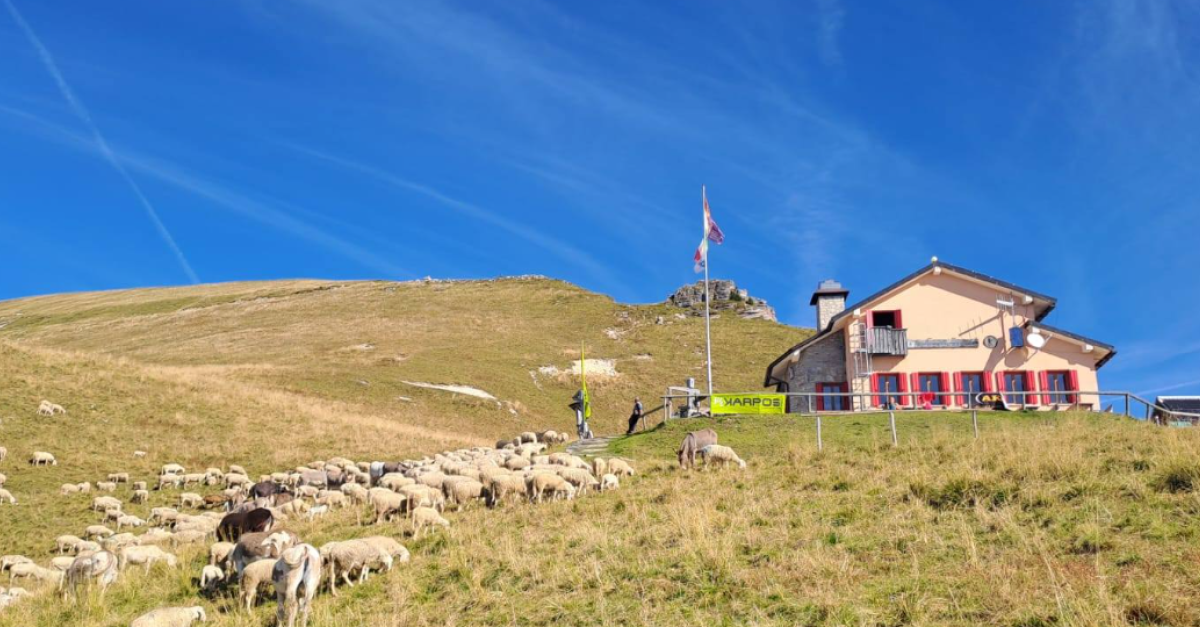 "Ce ne andiamo senza spiegazioni", Giorgio Da Rin dice addio al Rifugio ...