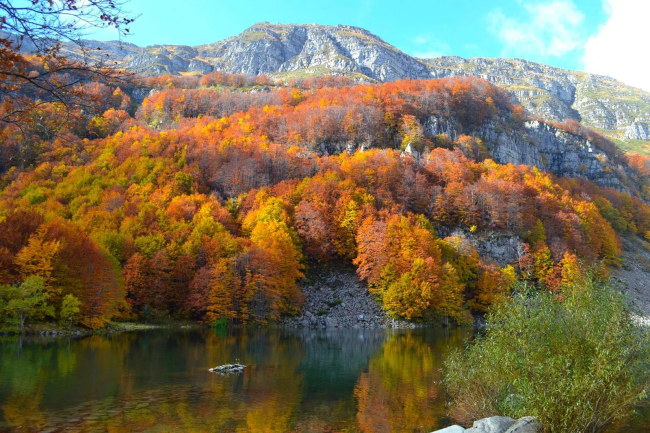 Un'invasione silenziosa che soffoca il Lago Santo. Come salvare gli ...