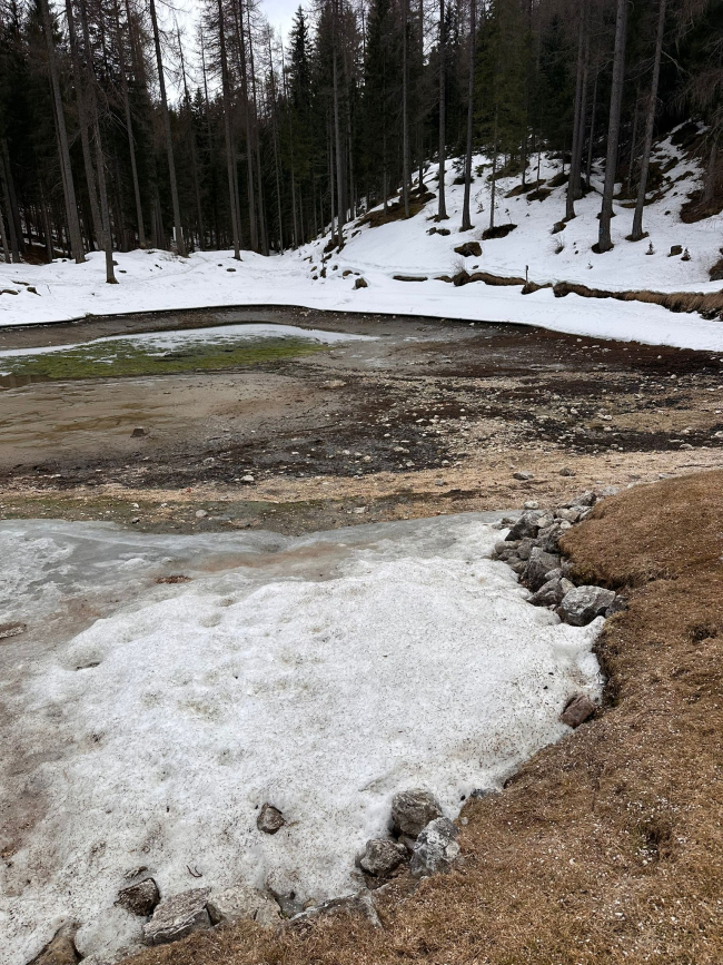 "Dall'unico ruscello ora non arriva più acqua. Mai successo prima ...