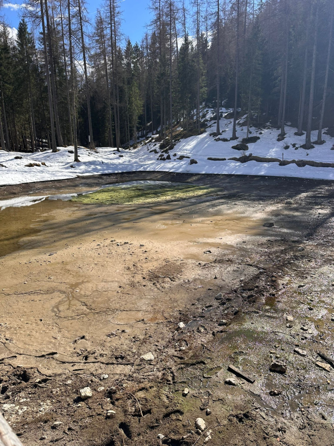 "Dall'unico ruscello ora non arriva più acqua. Mai successo prima ...