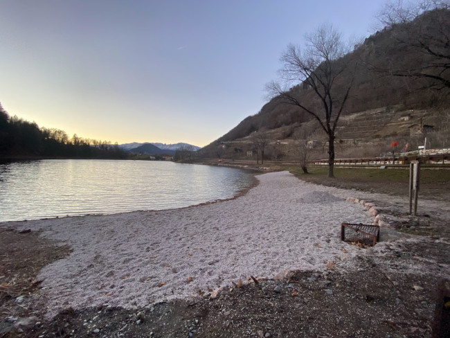 "Compromesso un habitat: i canneti sono sempre più importanti", il Wwf ...