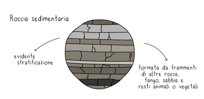 Come si fa a distinguere le rocce magmatiche, sedimentarie o ...