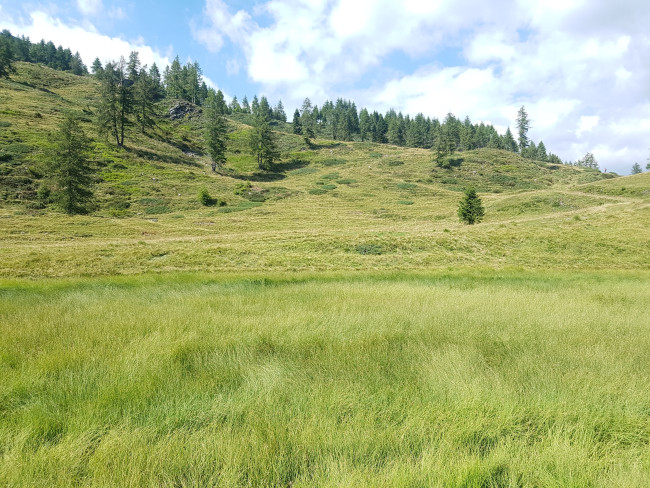 Alla conca dei Sette Laghi, tra i silenzi del Lagorai - il Dolomiti