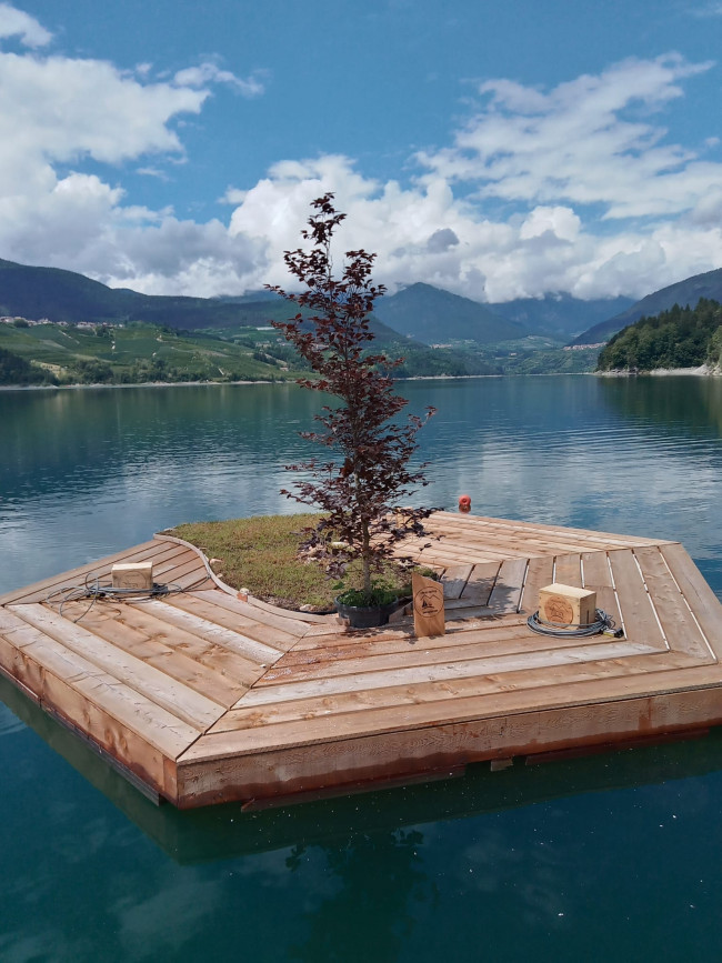 In mezzo al lago spunta una piattaforma in legno con sopra un albero, è ...