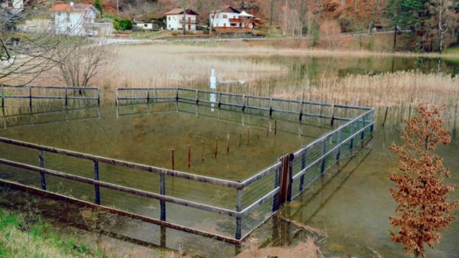 Il lago di Lagolo esonda, allagando le spiagge e la strada (FOTO ...